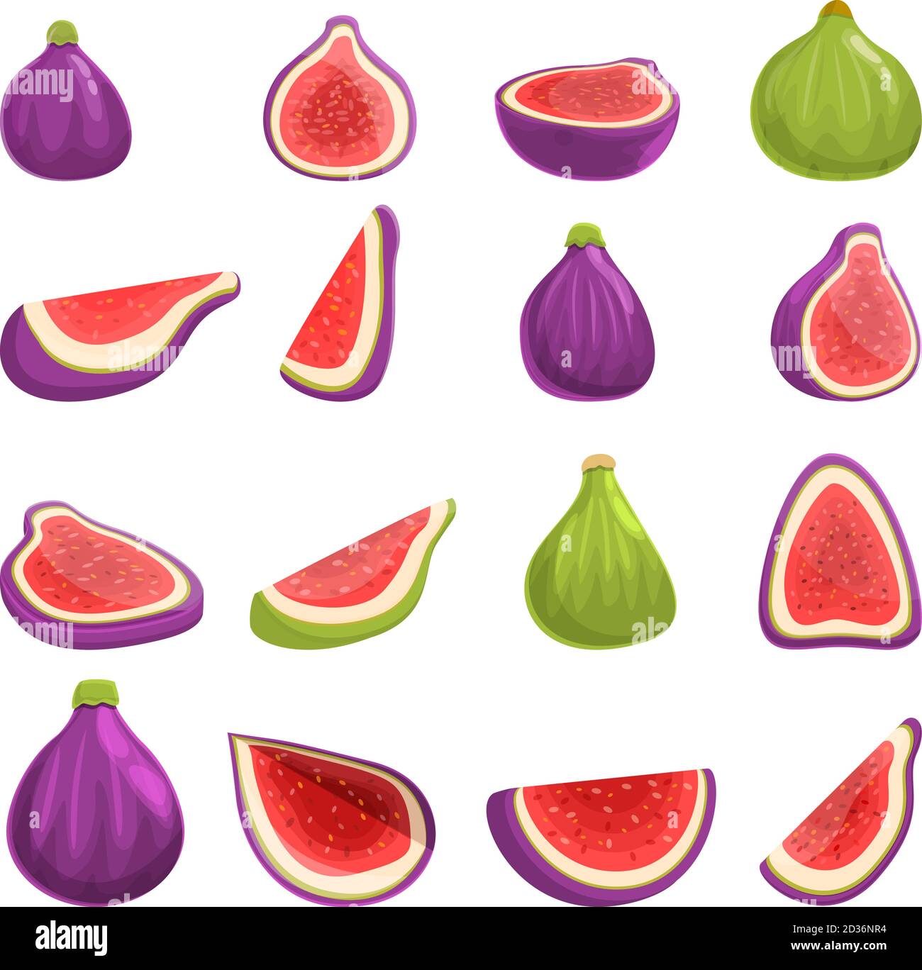 Figs icons set. Cartoon set of figs vector icons for web design Stock ...