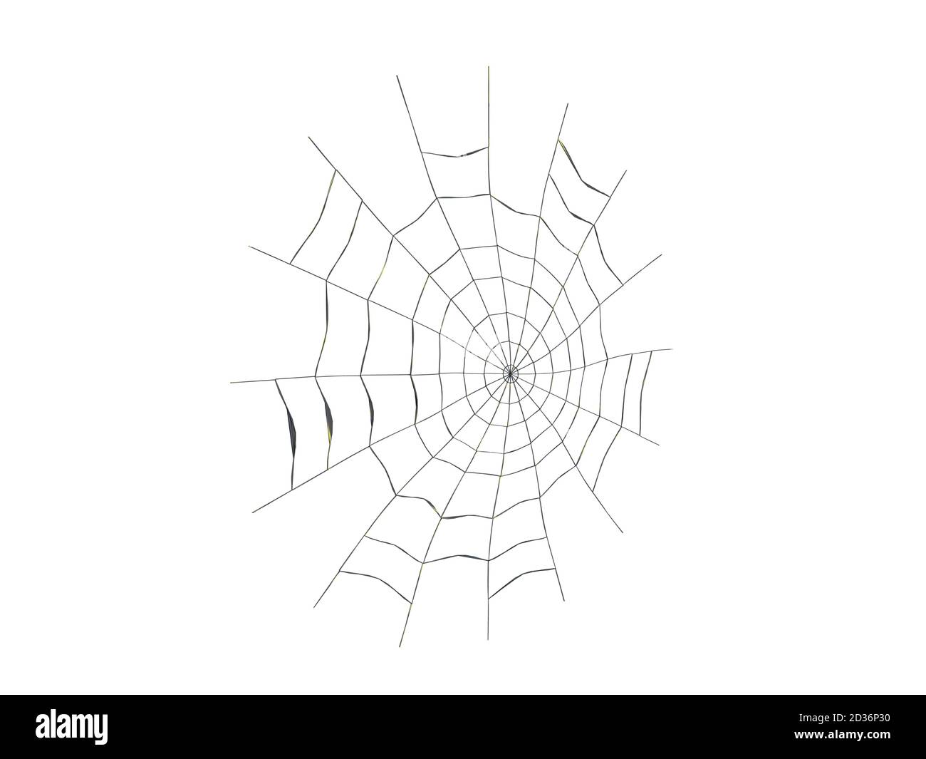 big fat spider in round spider web Stock Photo - Alamy
