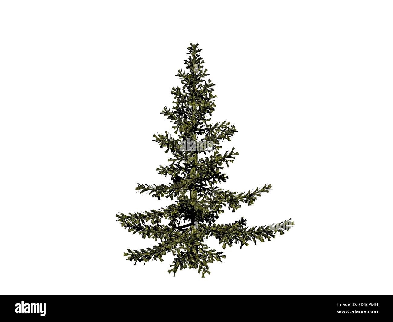 Tall trees Cut Out Stock Images & Pictures - Alamy