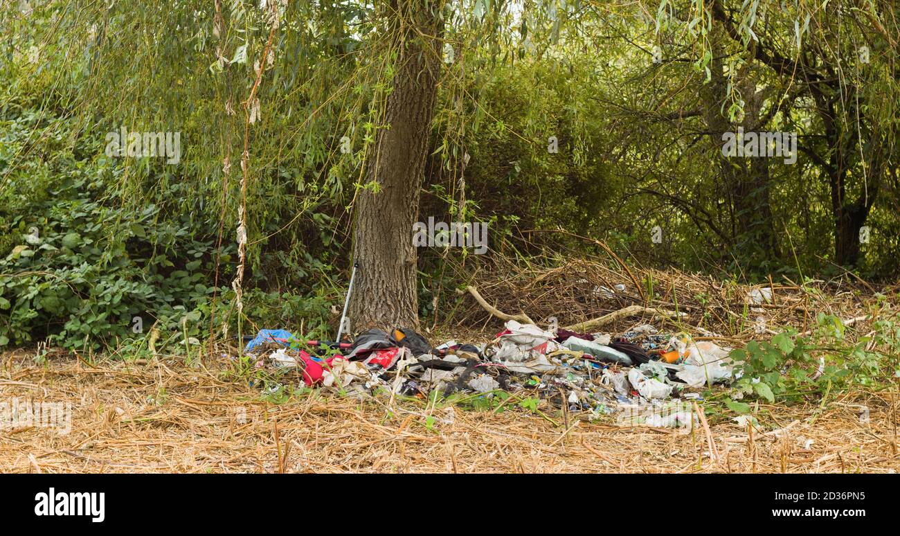 Trash under tree in park. Homeless nest Stock Photo - Alamy