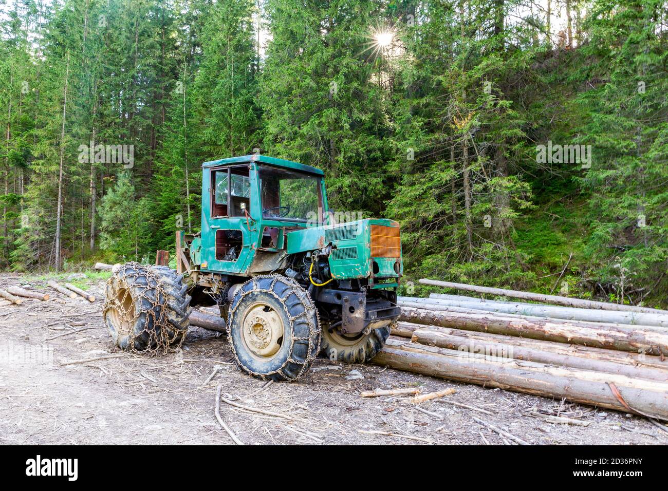 Logging truck and national forest hi-res stock photography and images ...