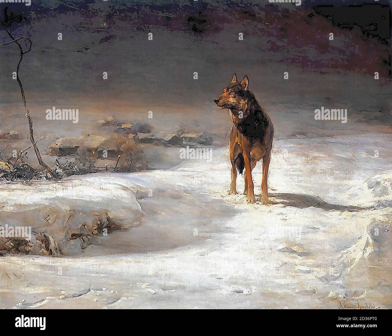 Alfred wierusz kowalski hi-res stock photography and images - Alamy