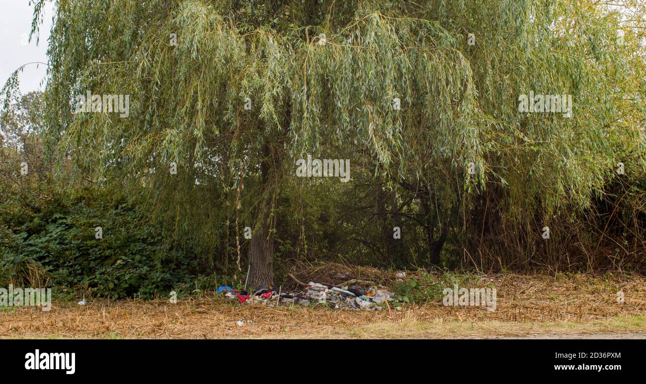 Trash under tree wide angle Stock Photo - Alamy