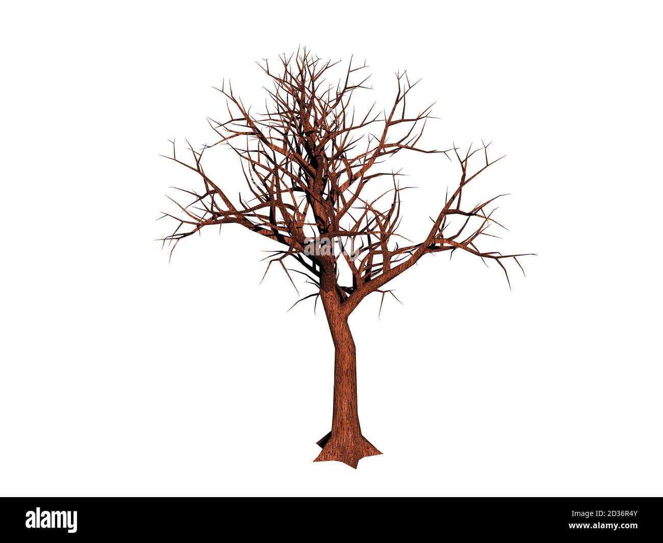 Tall treetop Cut Out Stock Images & Pictures - Alamy