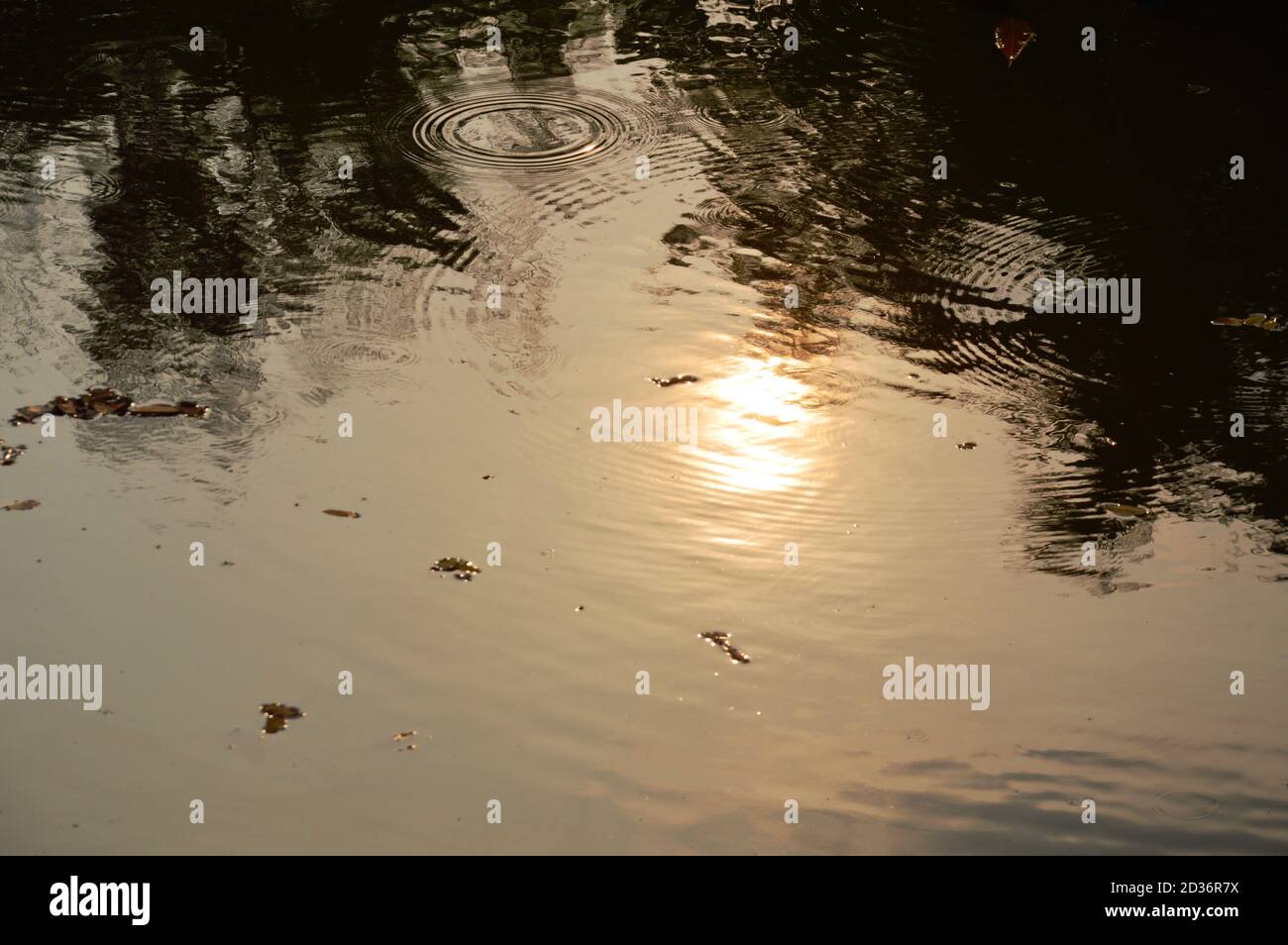sunlight reflection on water surface in canal Stock Photo - Alamy
