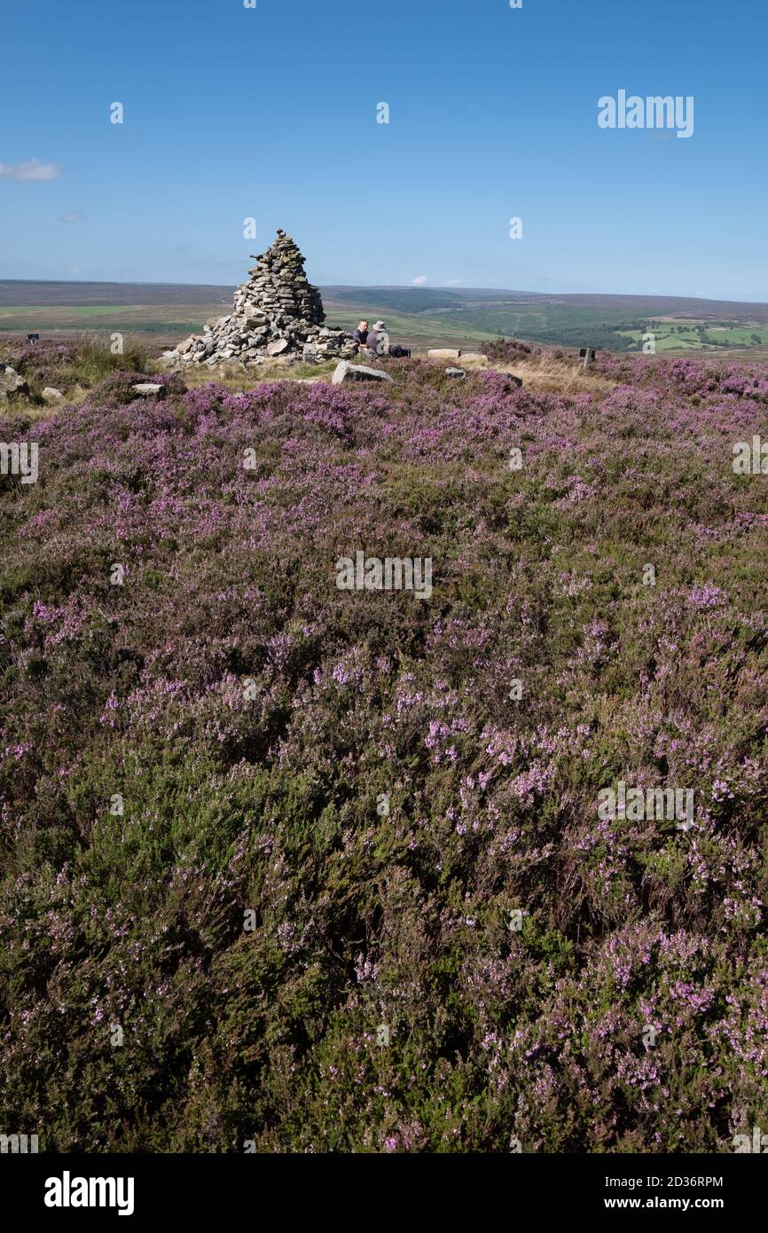 Lyke hi-res stock photography and images - Alamy