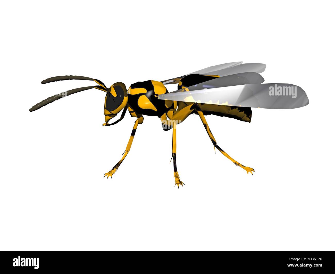 dangerous wasp with wings and sting Stock Photo - Alamy