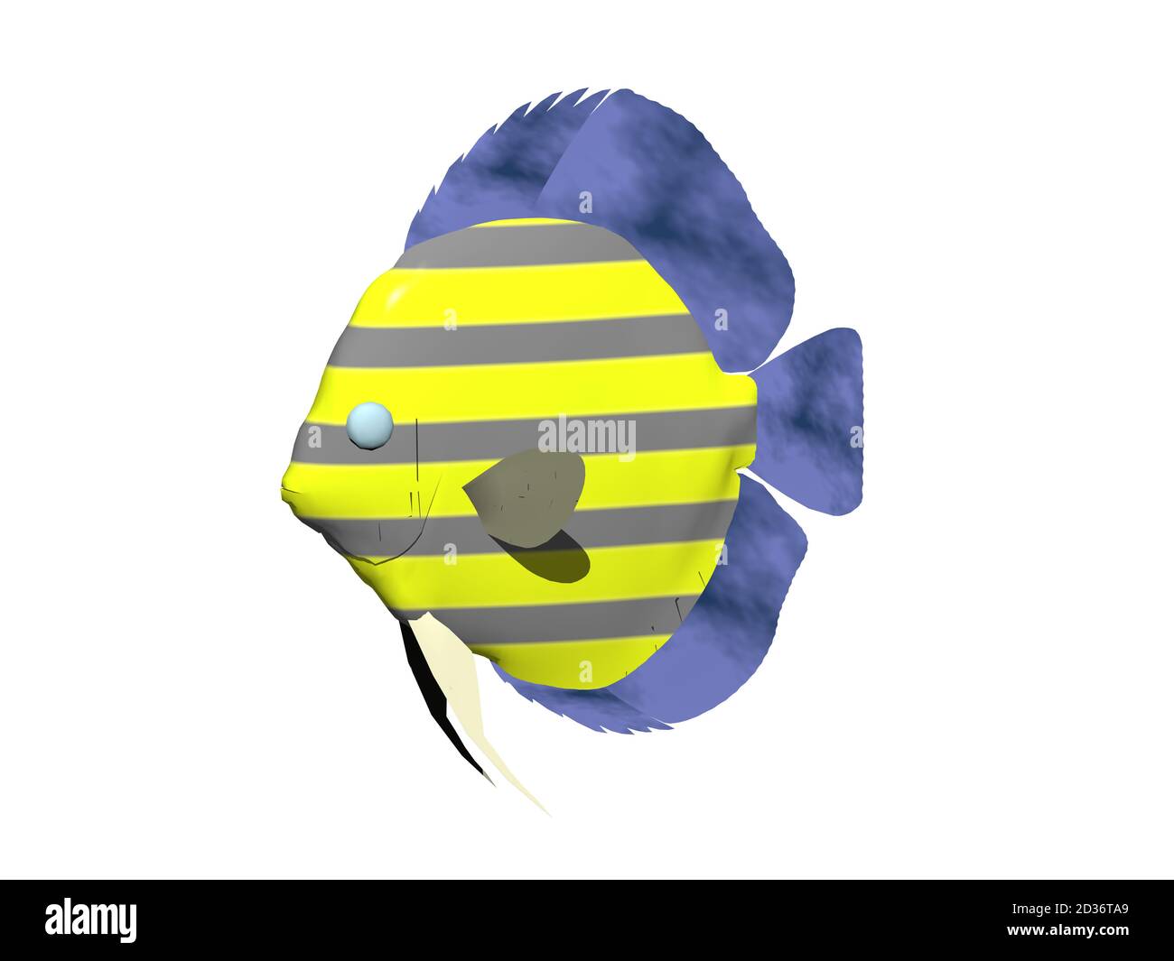Discus fish as ornamental fish in the aqarium Stock Photo - Alamy