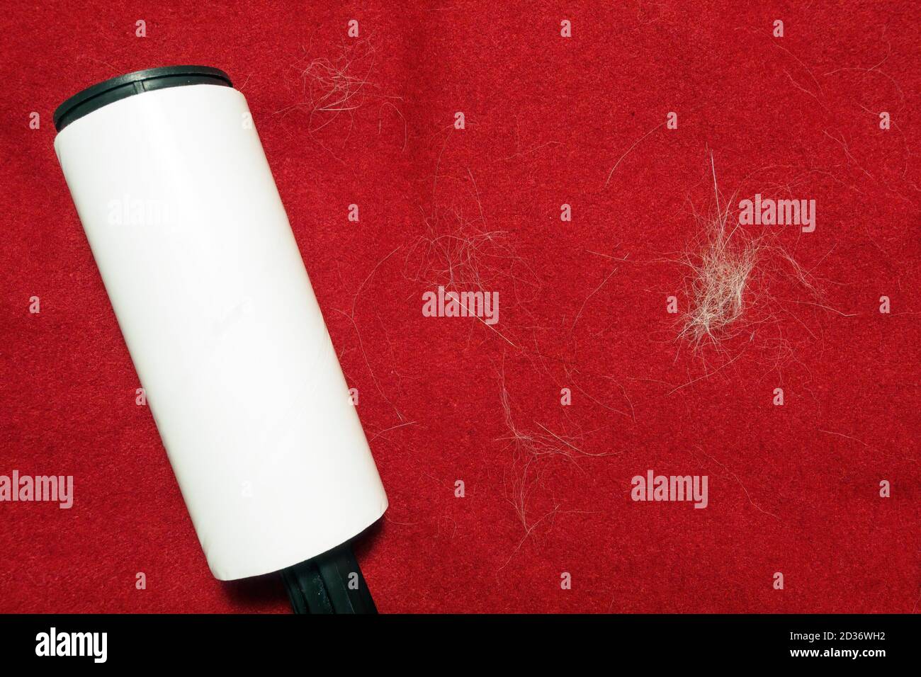 Cat lint hi-res stock photography and images - Alamy