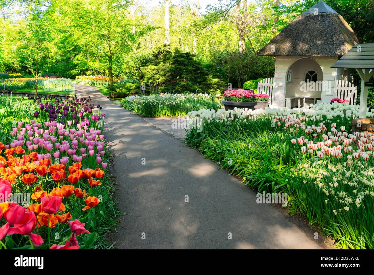 Spring Tulips Flowerbeds Stock Photo - Alamy