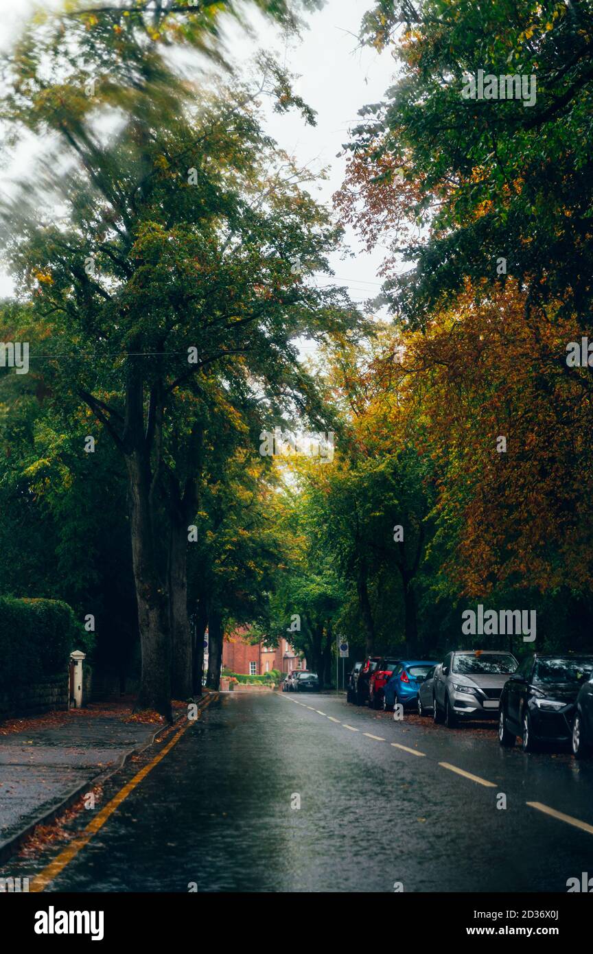 Autumn streets of english city Stock Photo - Alamy