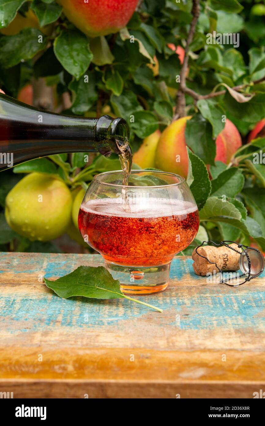 Pouring of rose apple cider from Normandy in glass, France and green ...