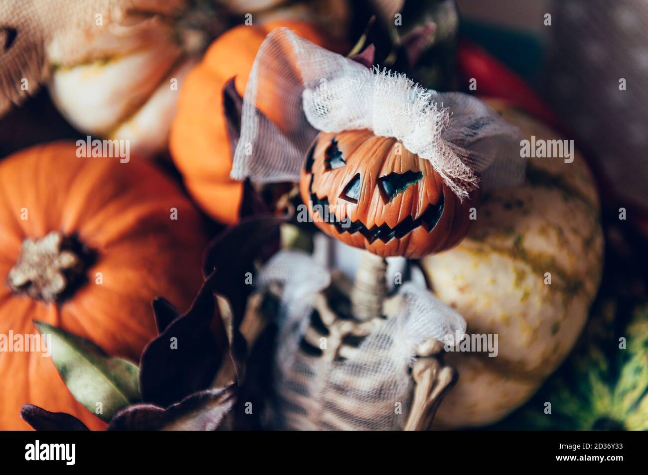 Skeleton bride hi-res stock photography and images - Alamy