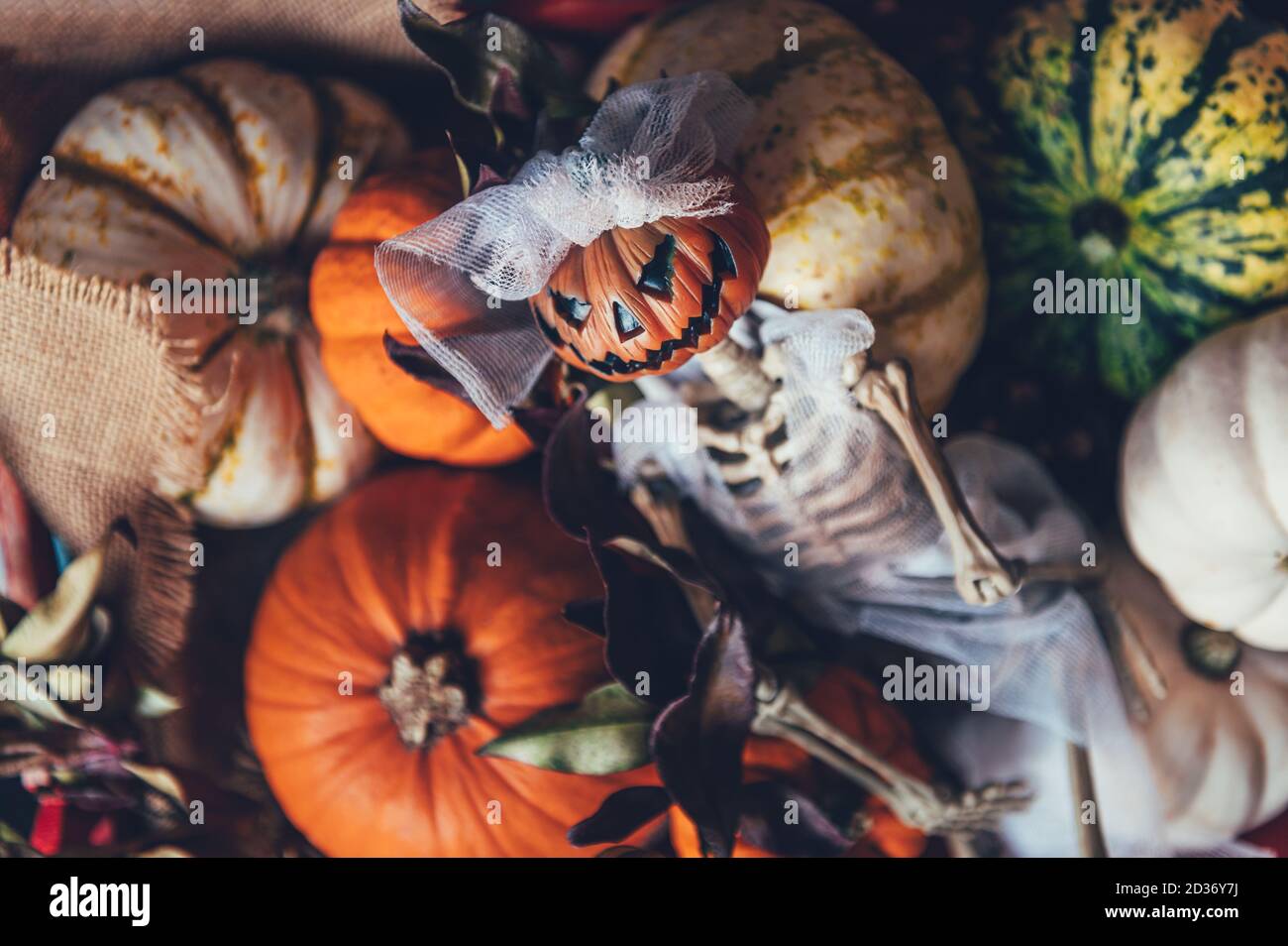 Pumpkins and skeleton pumpkin bride Stock Photo - Alamy