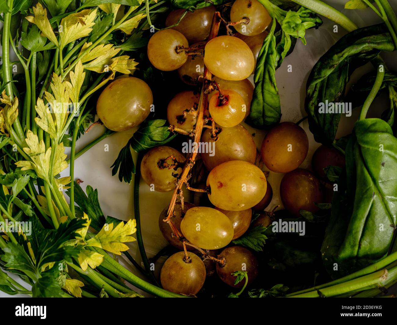 Grape close-up surrounded by green basil leaves Stock Photo - Alamy