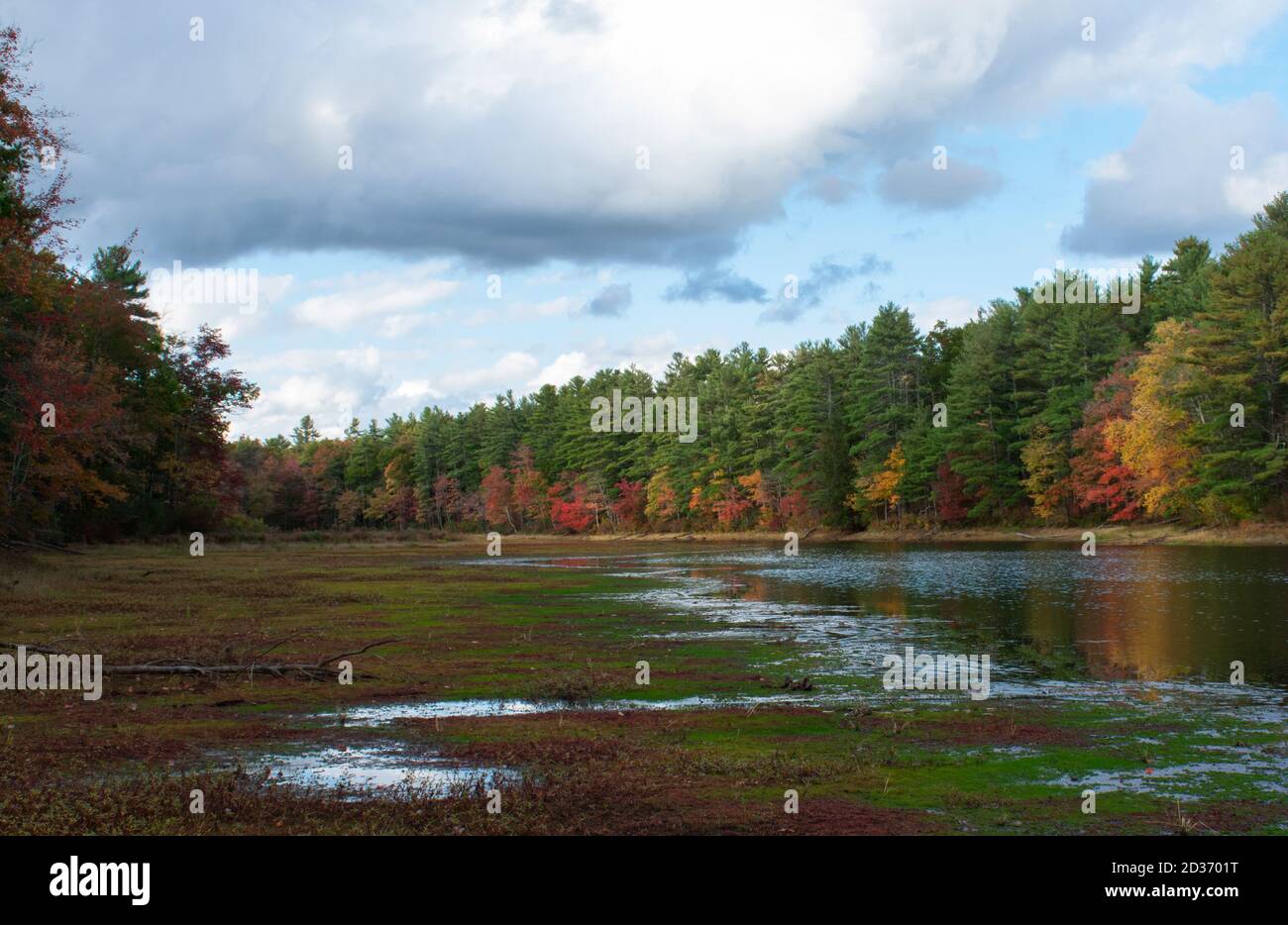 Vivid fall leaves are reflected in river waters Stock Photo - Alamy