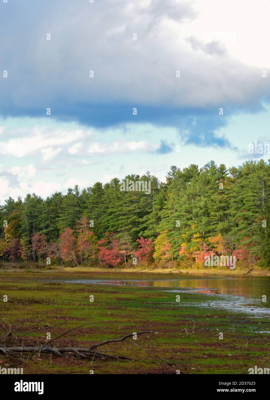 Vivid fall leaves are reflected in river waters Stock Photo - Alamy