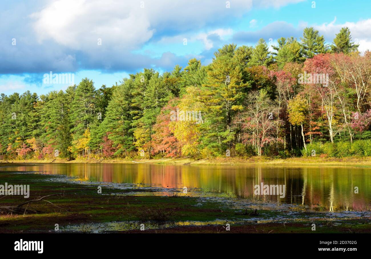 Vivid fall leaves are reflected in river waters Stock Photo - Alamy