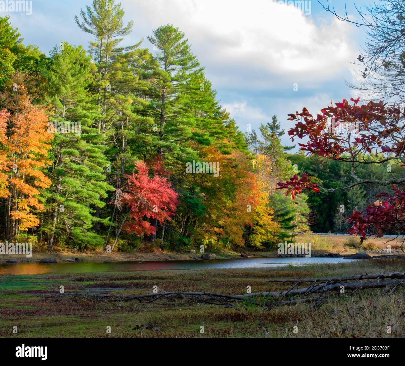 Vivid fall leaves are reflected in river waters Stock Photo - Alamy