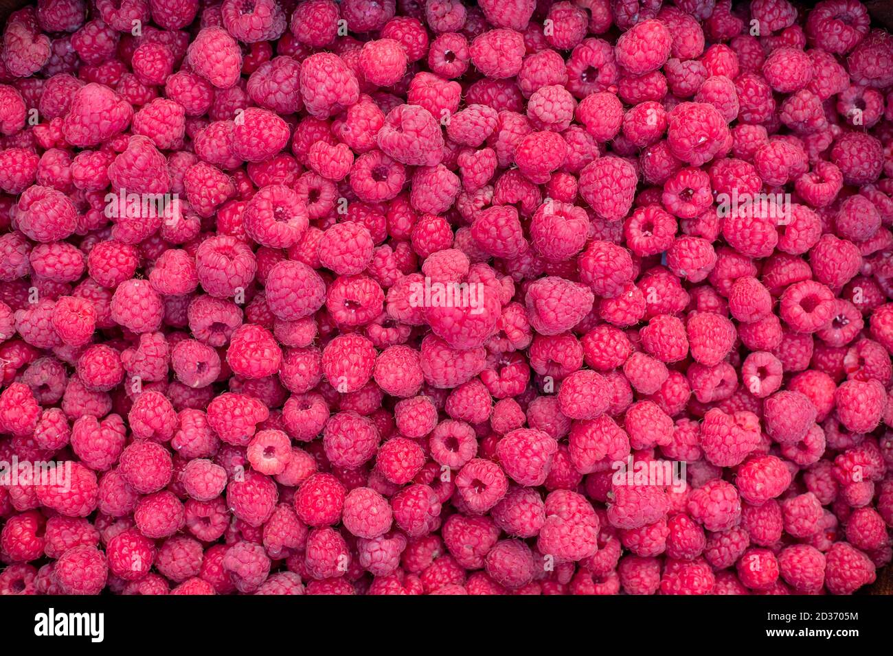 Ripe raspberry fruit hi-res stock photography and images - Alamy