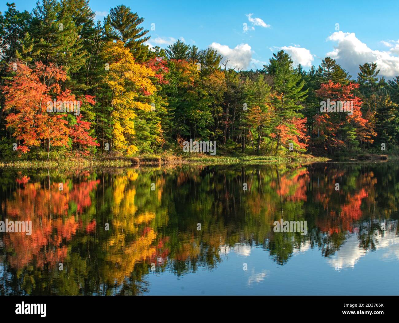 Reflections of trees in river hi-res stock photography and images - Alamy