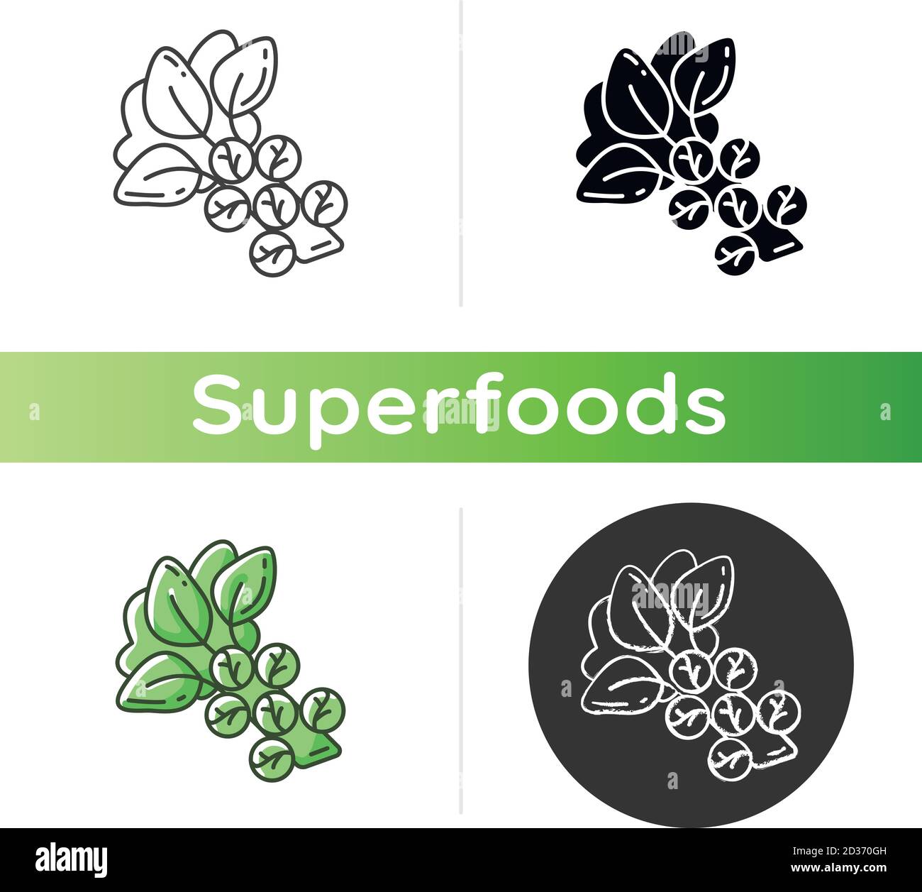 Brussels sprouts icon Stock Vector Image & Art - Alamy