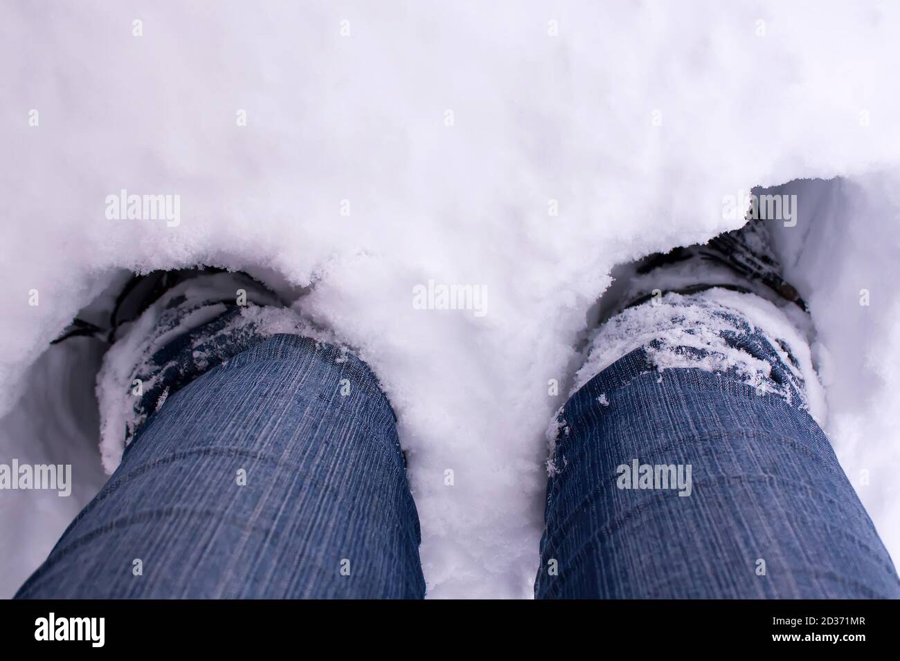 Legs in blue jeans in deep fresh snow in winter park Stock Photo - Alamy