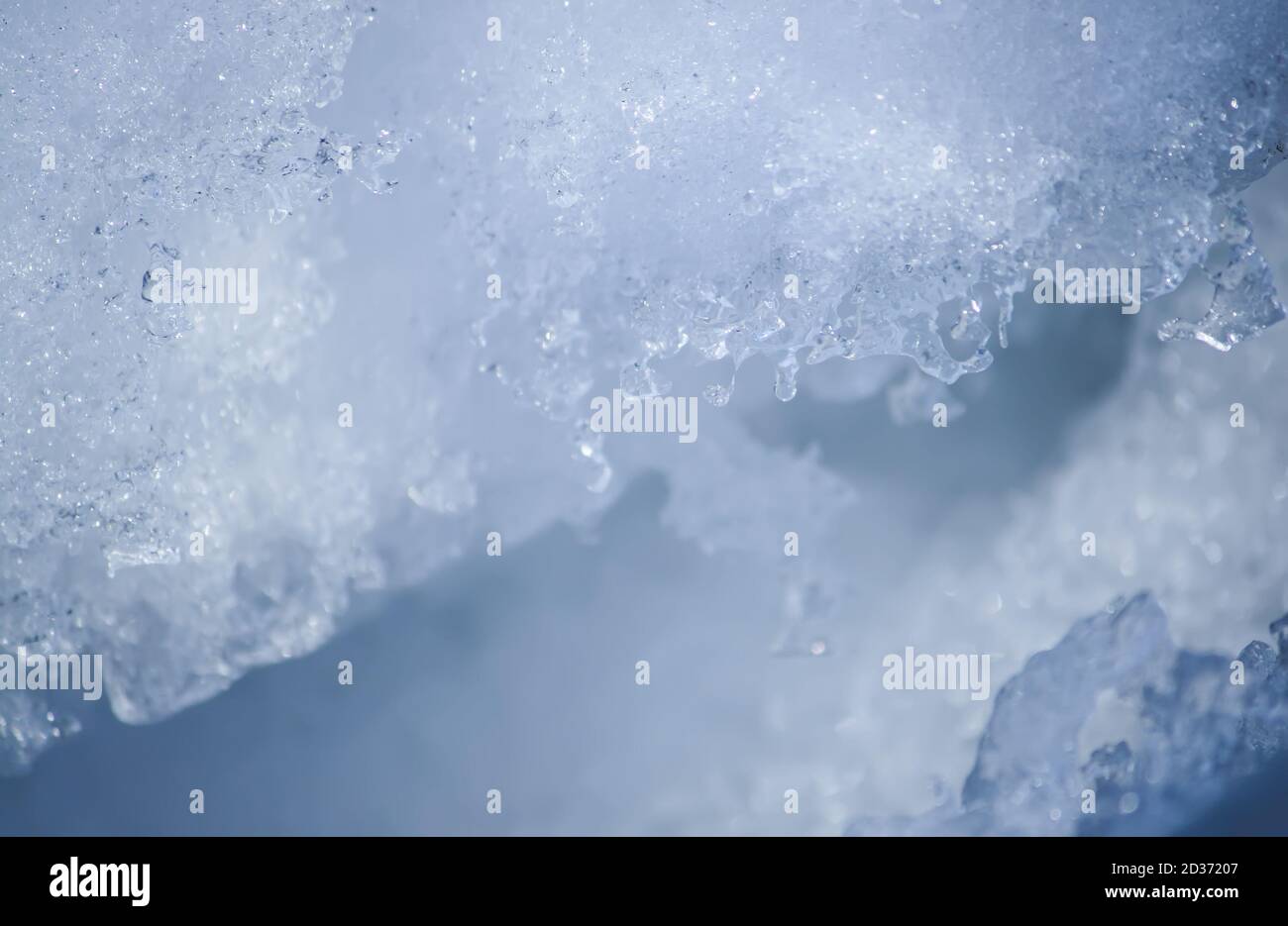 Detail of winter nature in countryside. Melting snow surface in bright ...