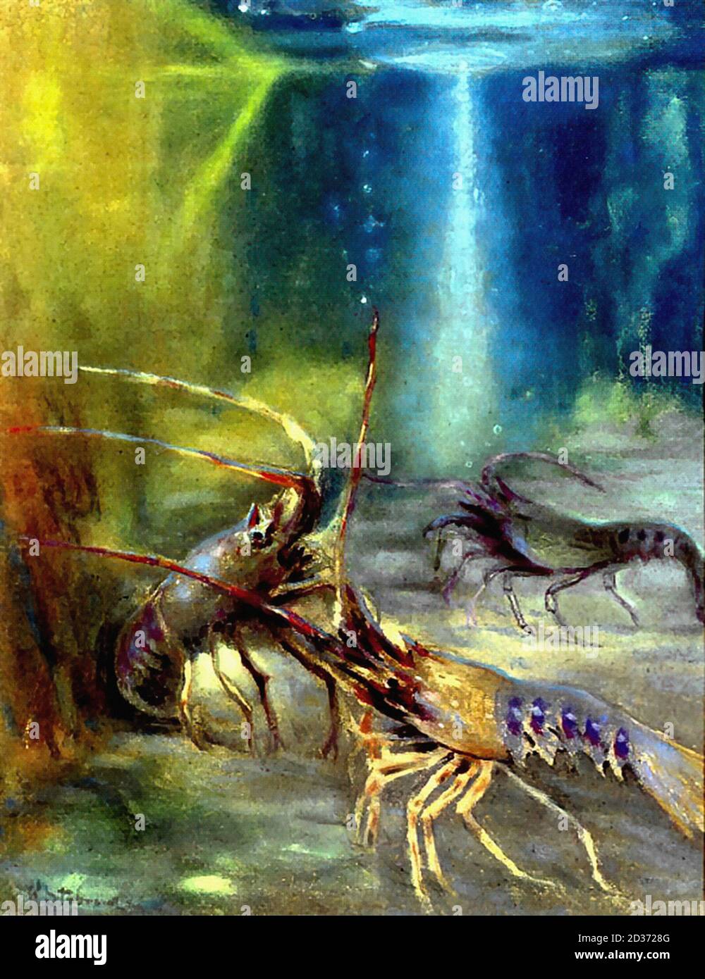 Stabrowski hi-res stock photography and images - Alamy