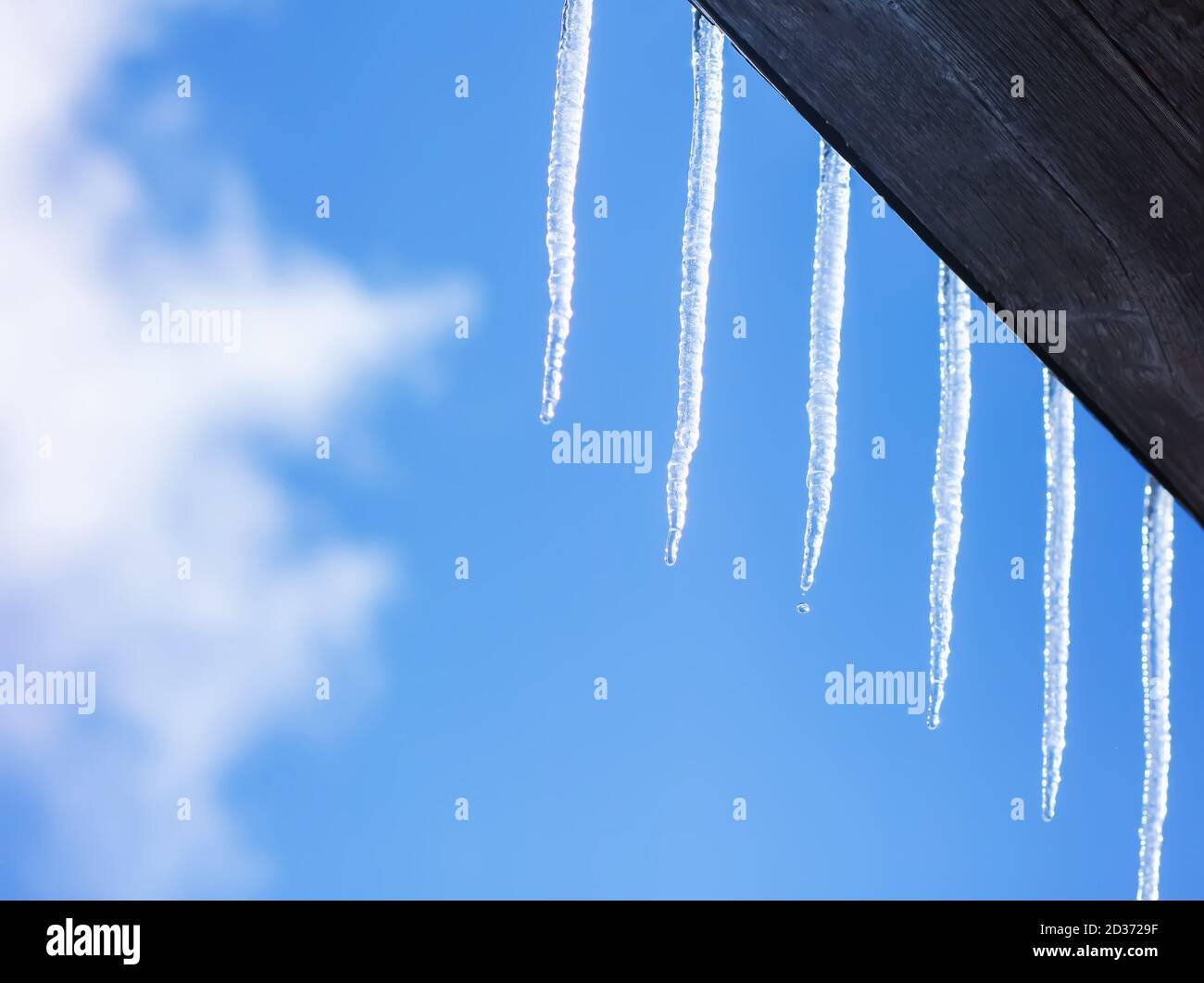 Transparent melting icicles hanging on wooden house roof on blue sky ...
