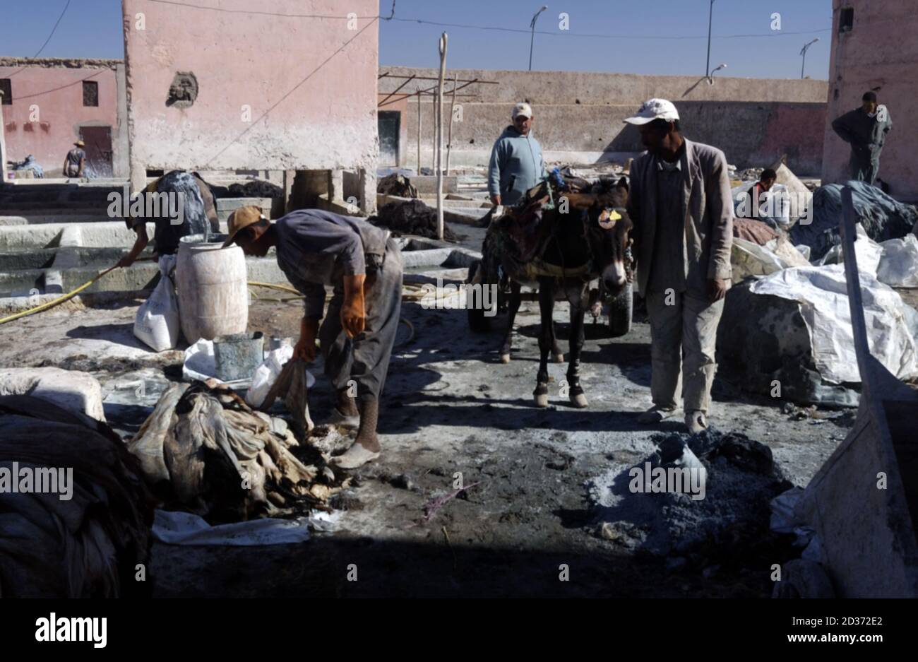 Leather workers in Marrakesh Morocco Stock Photo - Alamy
