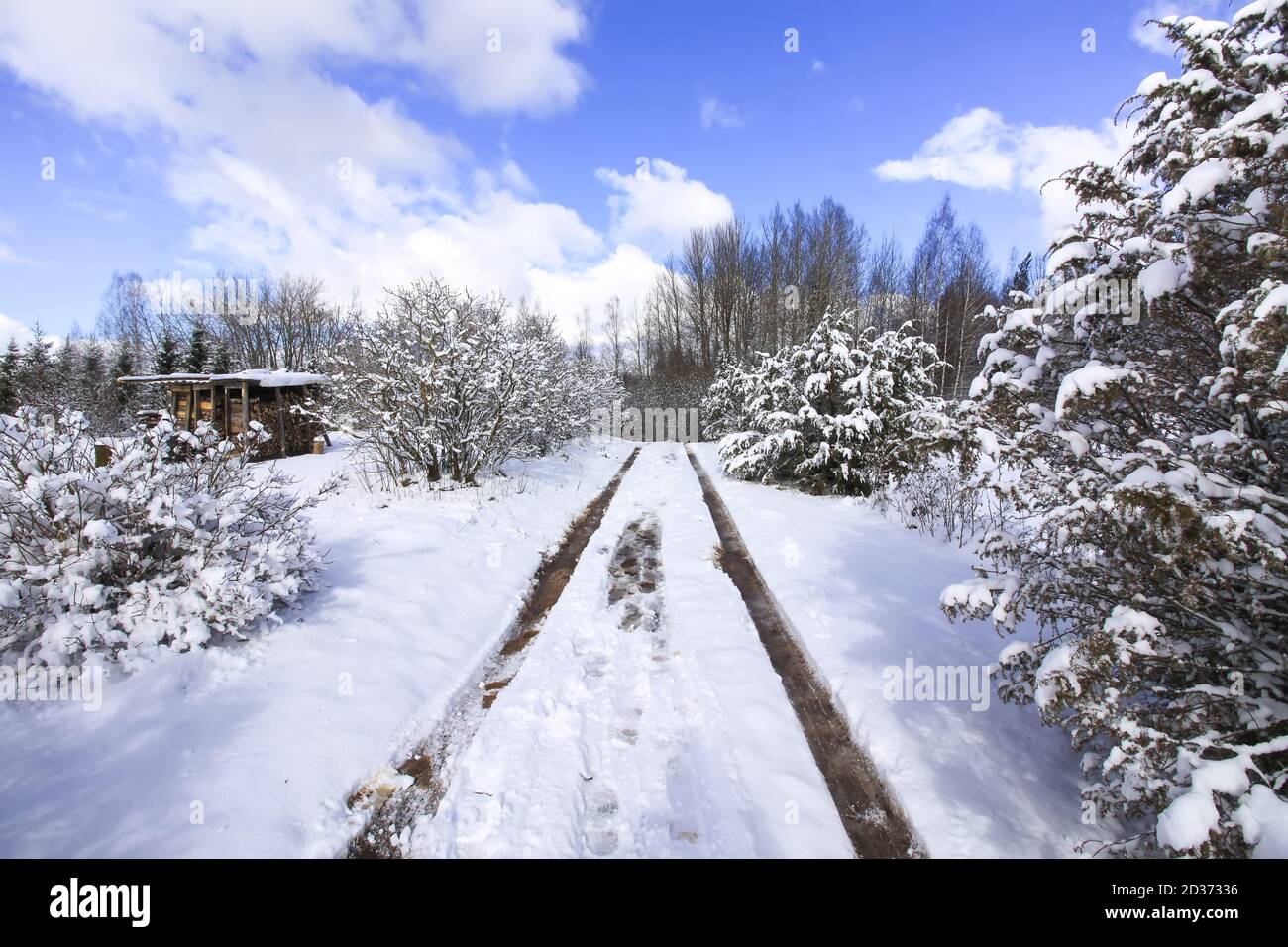 Winter nature details in countryside in East Europe. Snow covered field ...