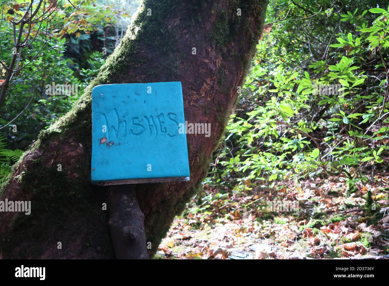 Tourists attractions along the Faerie Trail at Loch Lomond in Scotland ...