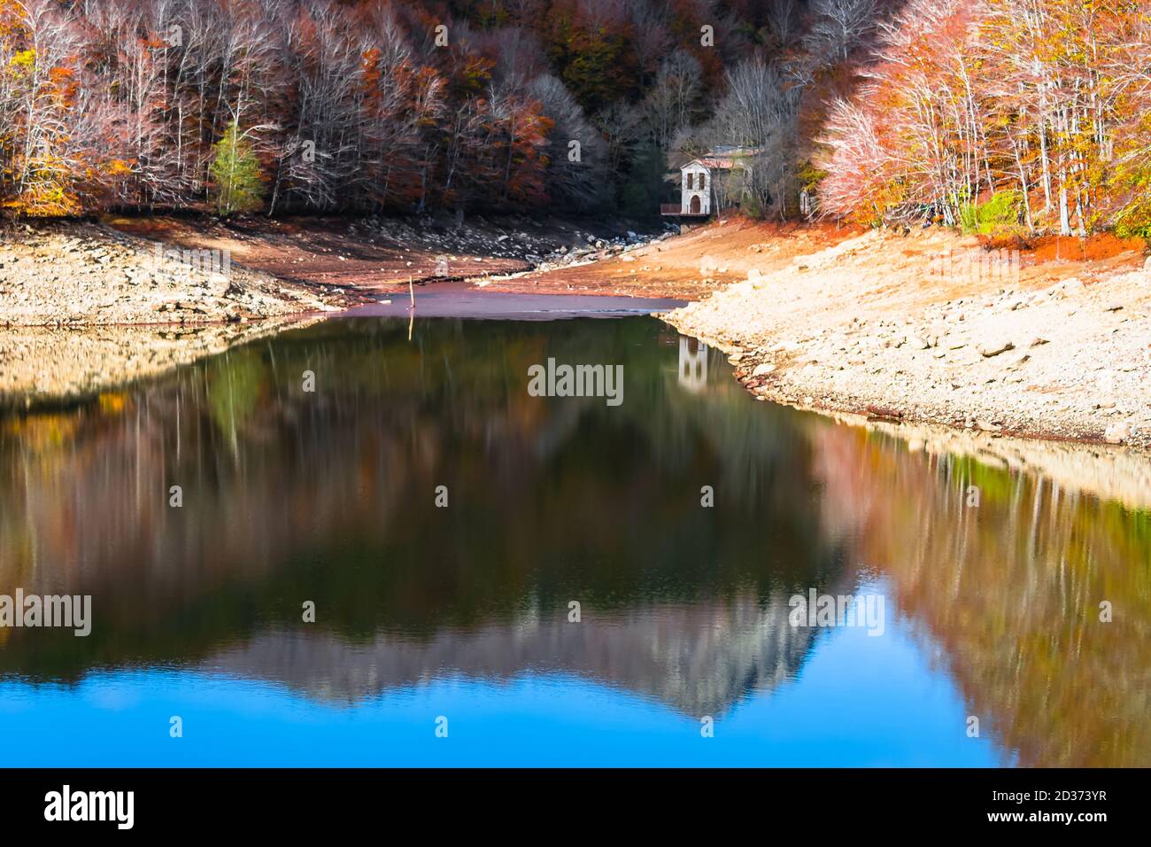 Colorful trees and leaves in autumn in the Montseny Natural Park in ...