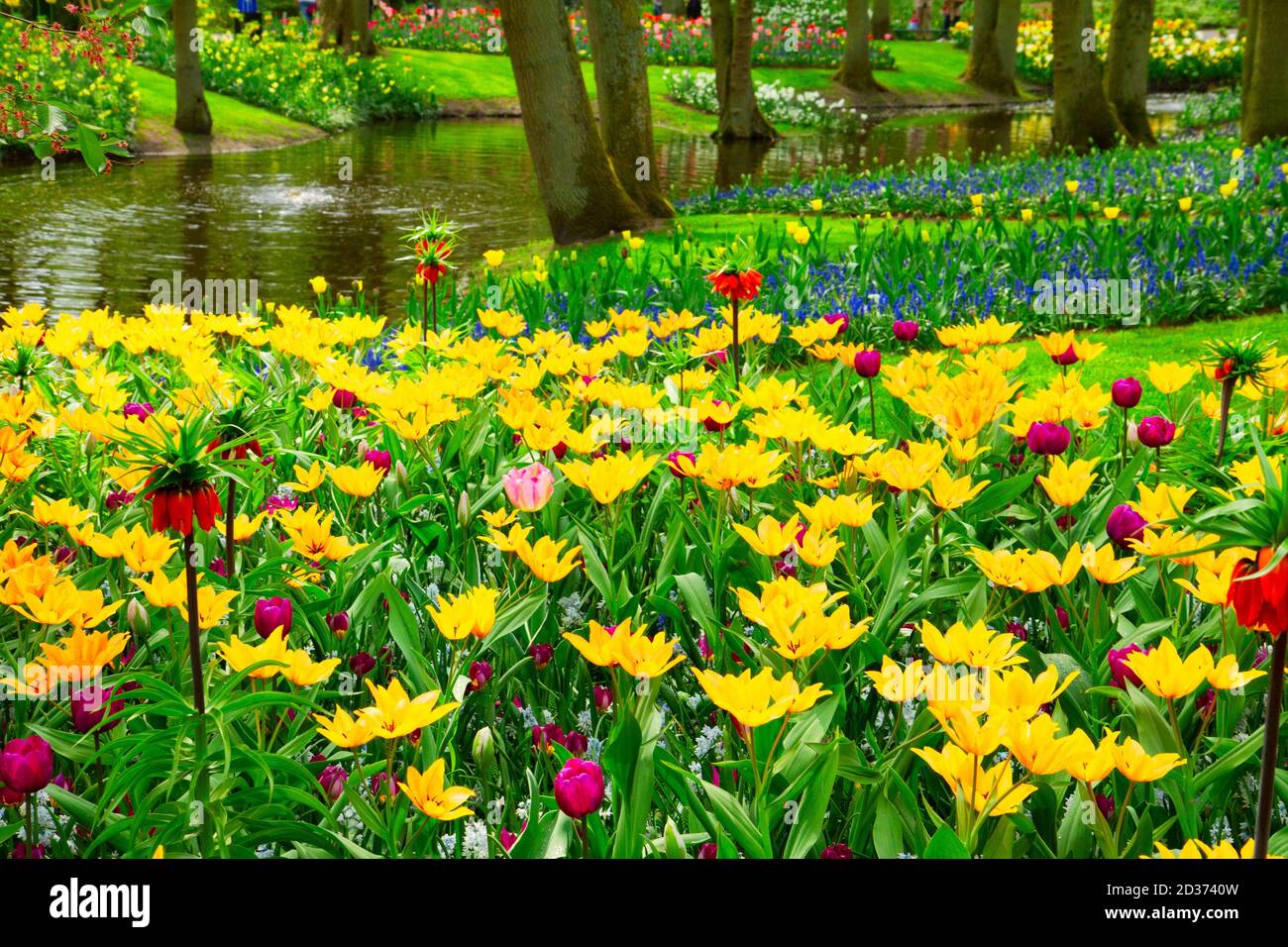 spring pond in park Stock Photo - Alamy