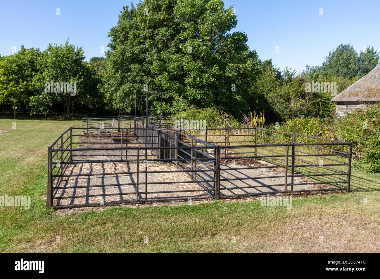 Sheep pens hi-res stock photography and images - Alamy