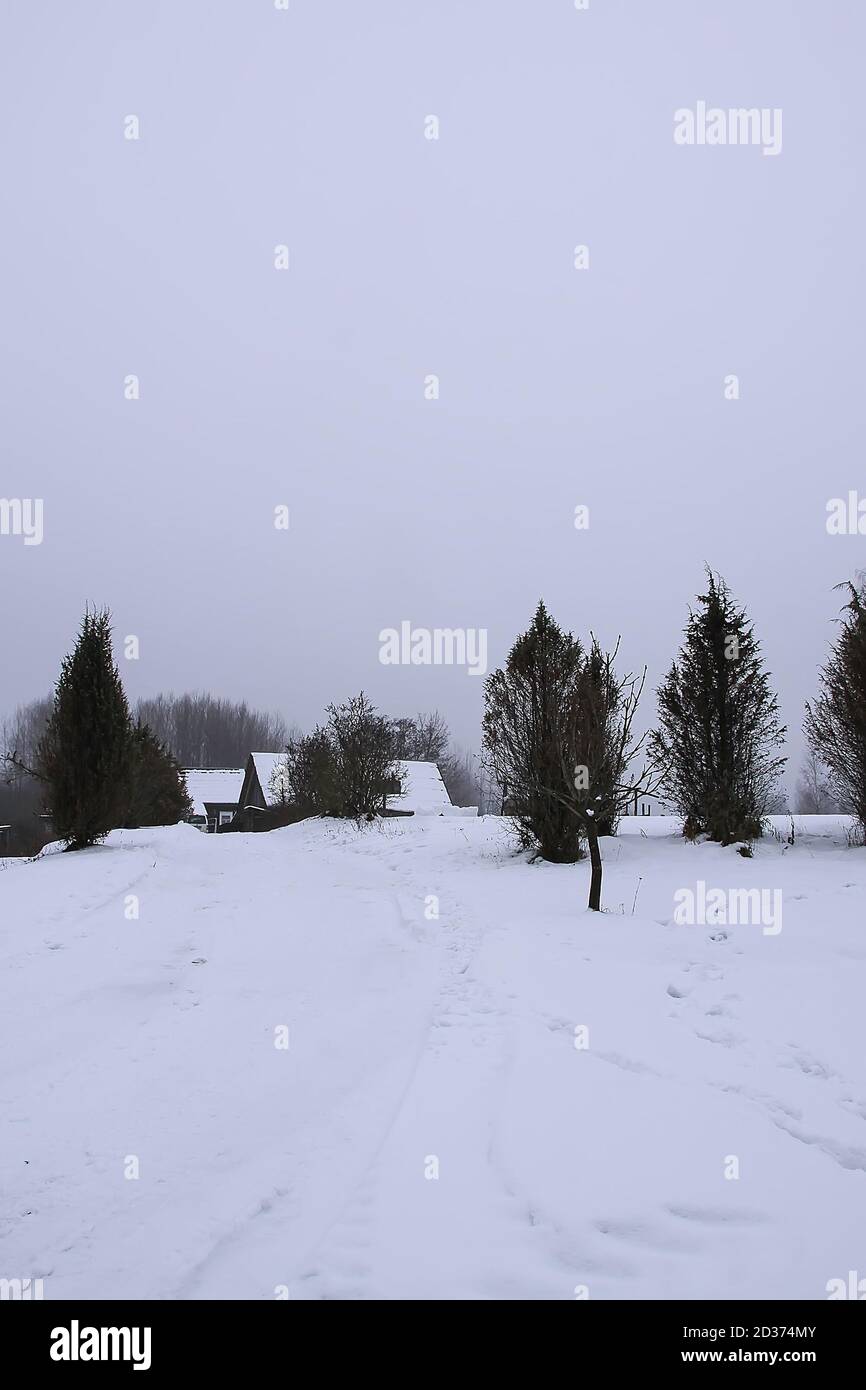 Beautiful winter landscape with trees in snow in countryside Stock ...