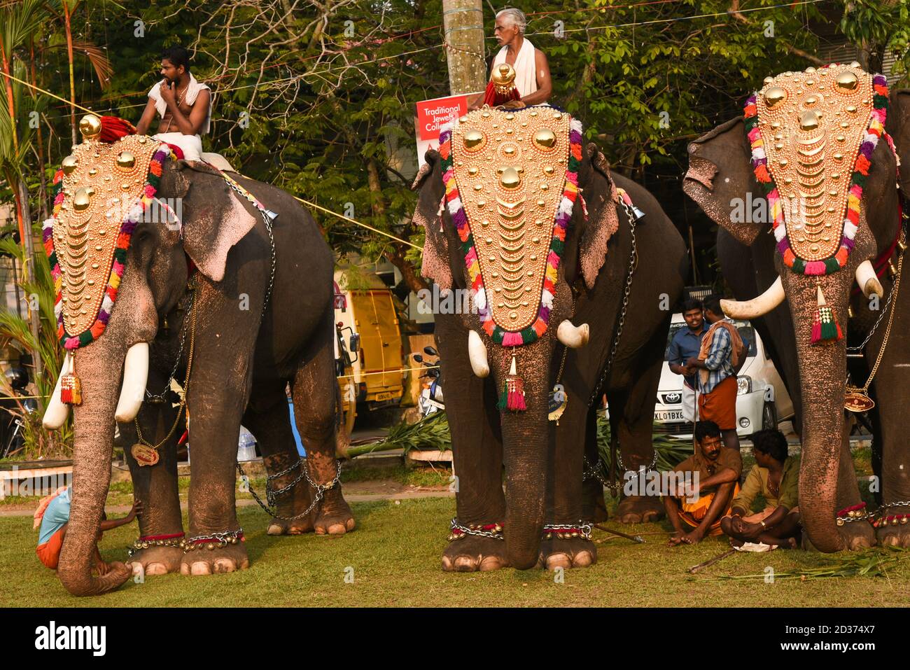 Decorated elephants standing for parade in temple festival in Kerala ...