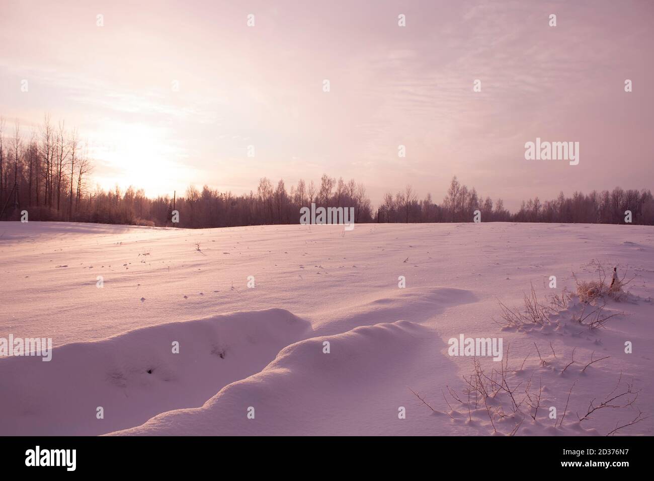 Winter background with snow field Stock Photo - Alamy