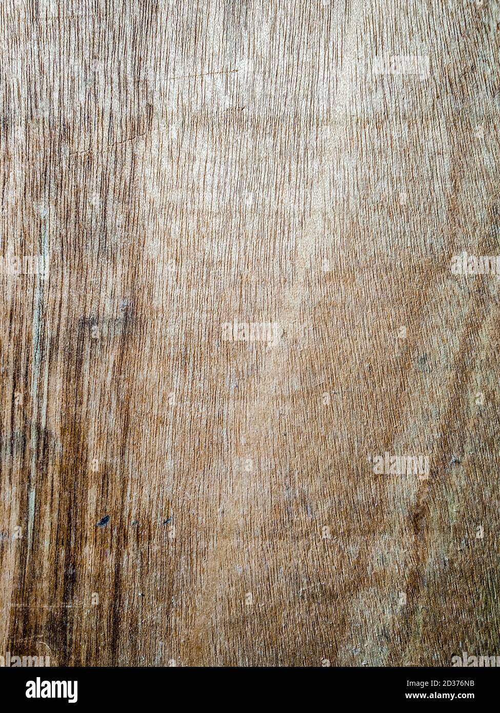 The crack on the surface of the cut wood.Dark wood texture background ...