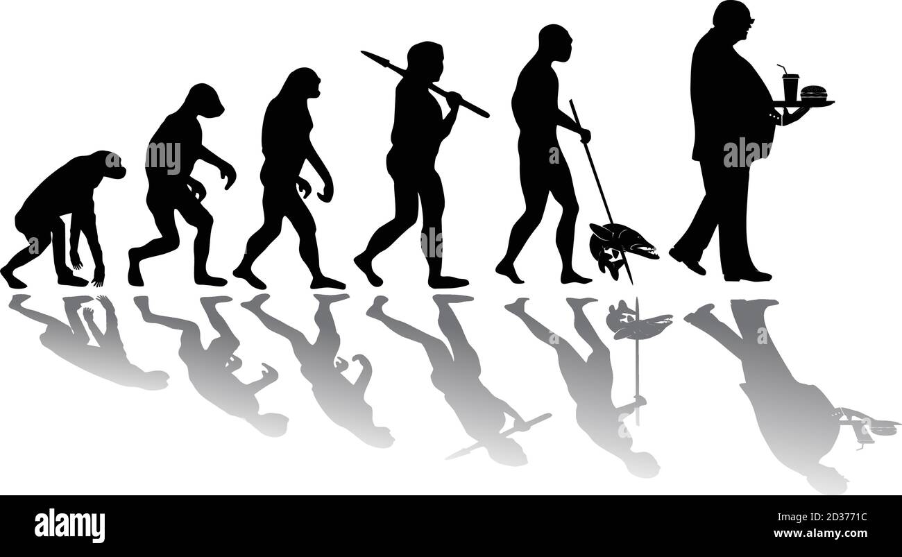 Human Evolution Funny