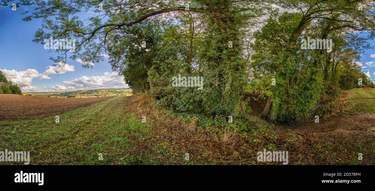 Panoramic landscape of woodland copse in the Kent countryside, blue sky ...