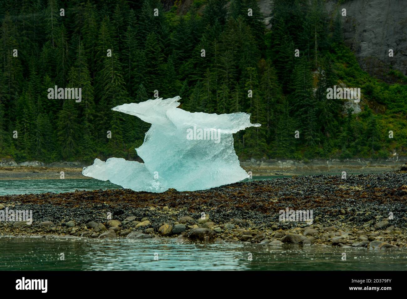 Small iceberg at Fords Terror, Endicott Arm, Tongass National Forest ...