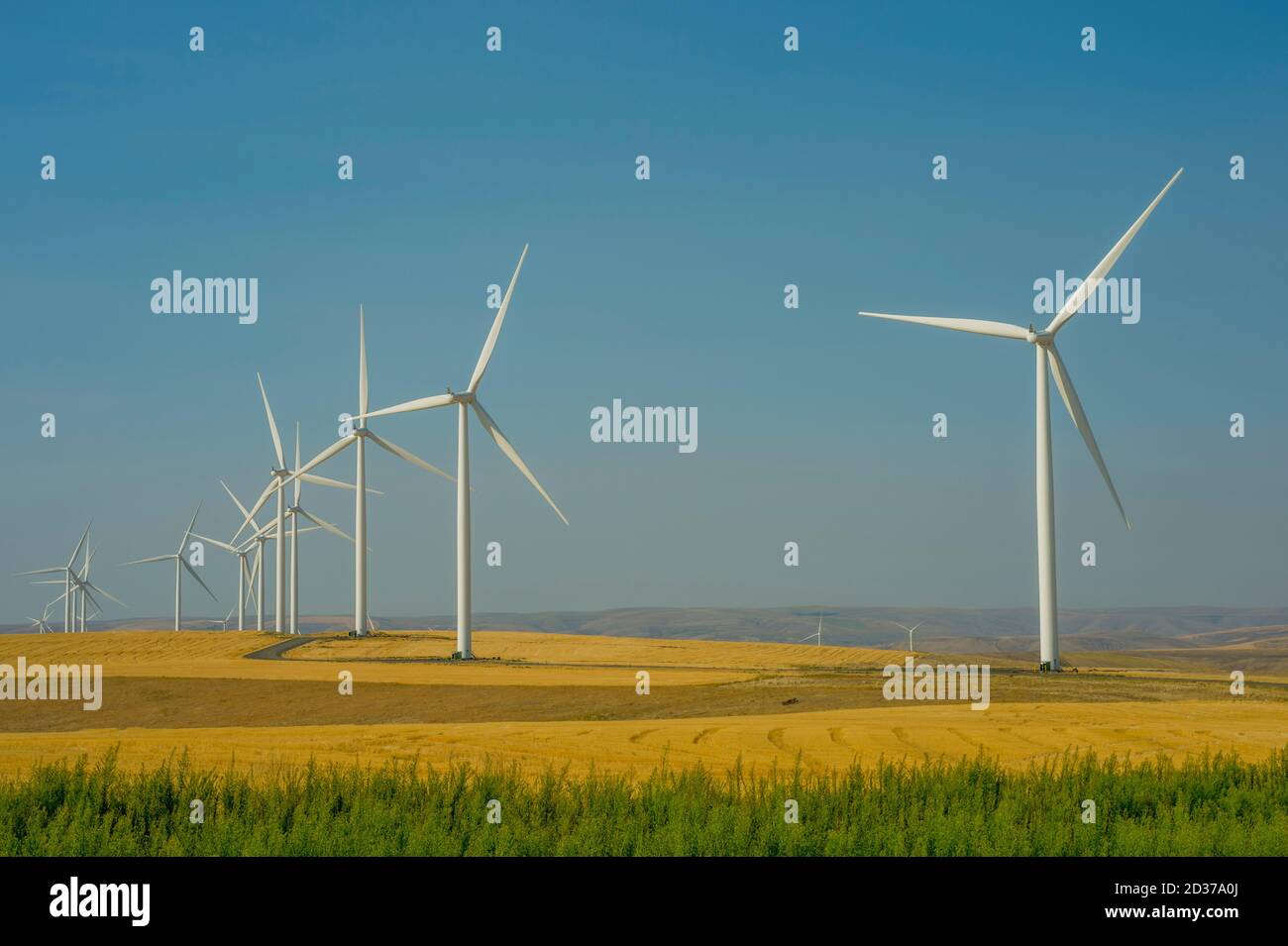 A wind farm in the Palouse near Dayton, Eastern Washington, USA Stock ...
