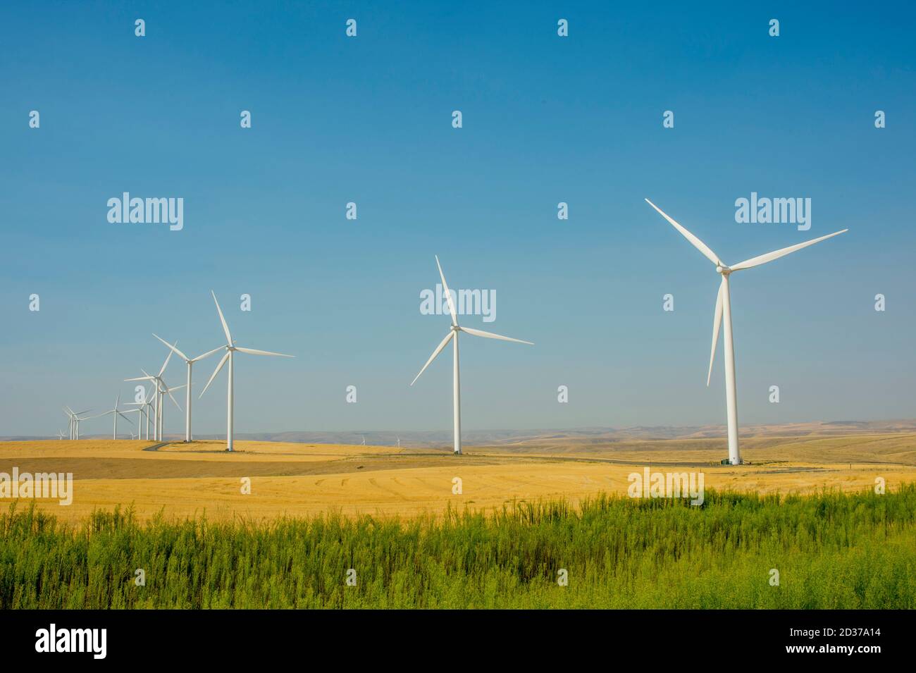 A wind farm in the Palouse near Dayton, Eastern Washington, USA Stock ...