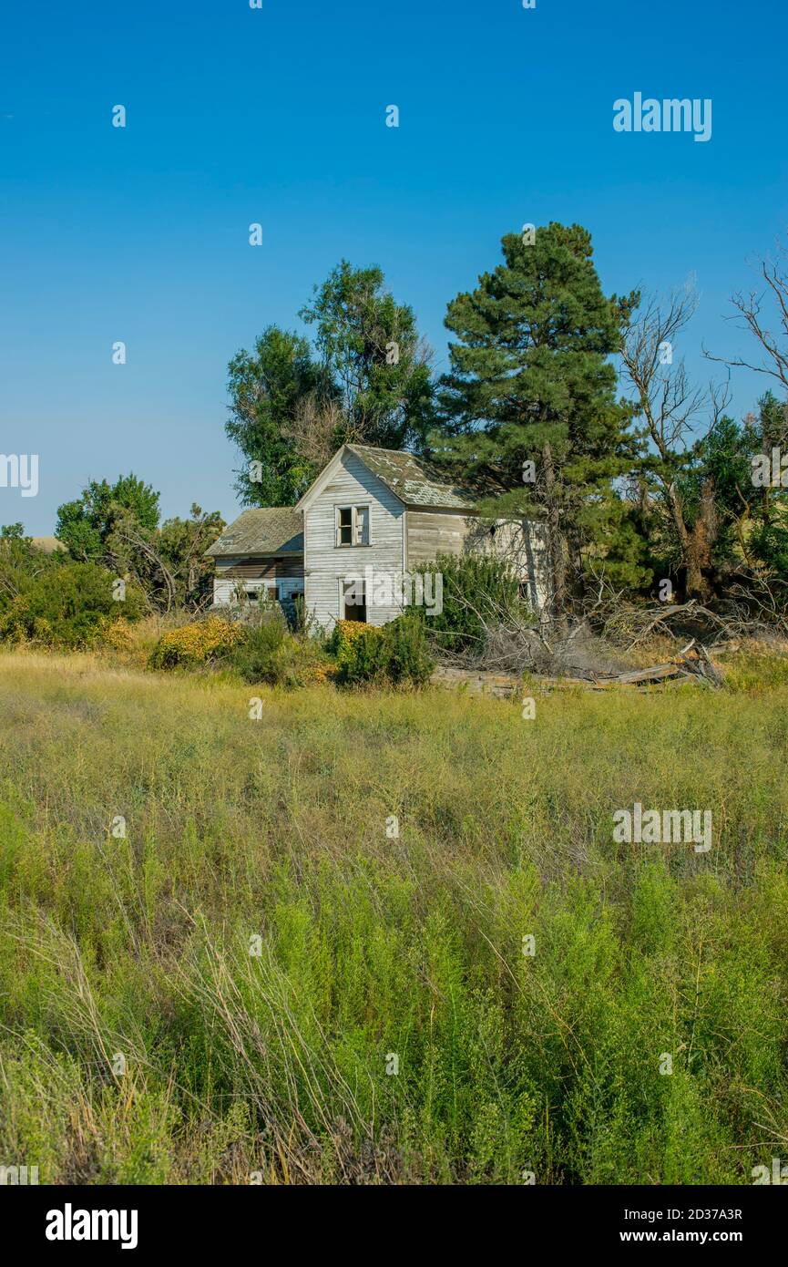 Abandoned farm house in the Palouse near Colfax, Eastern Washington ...