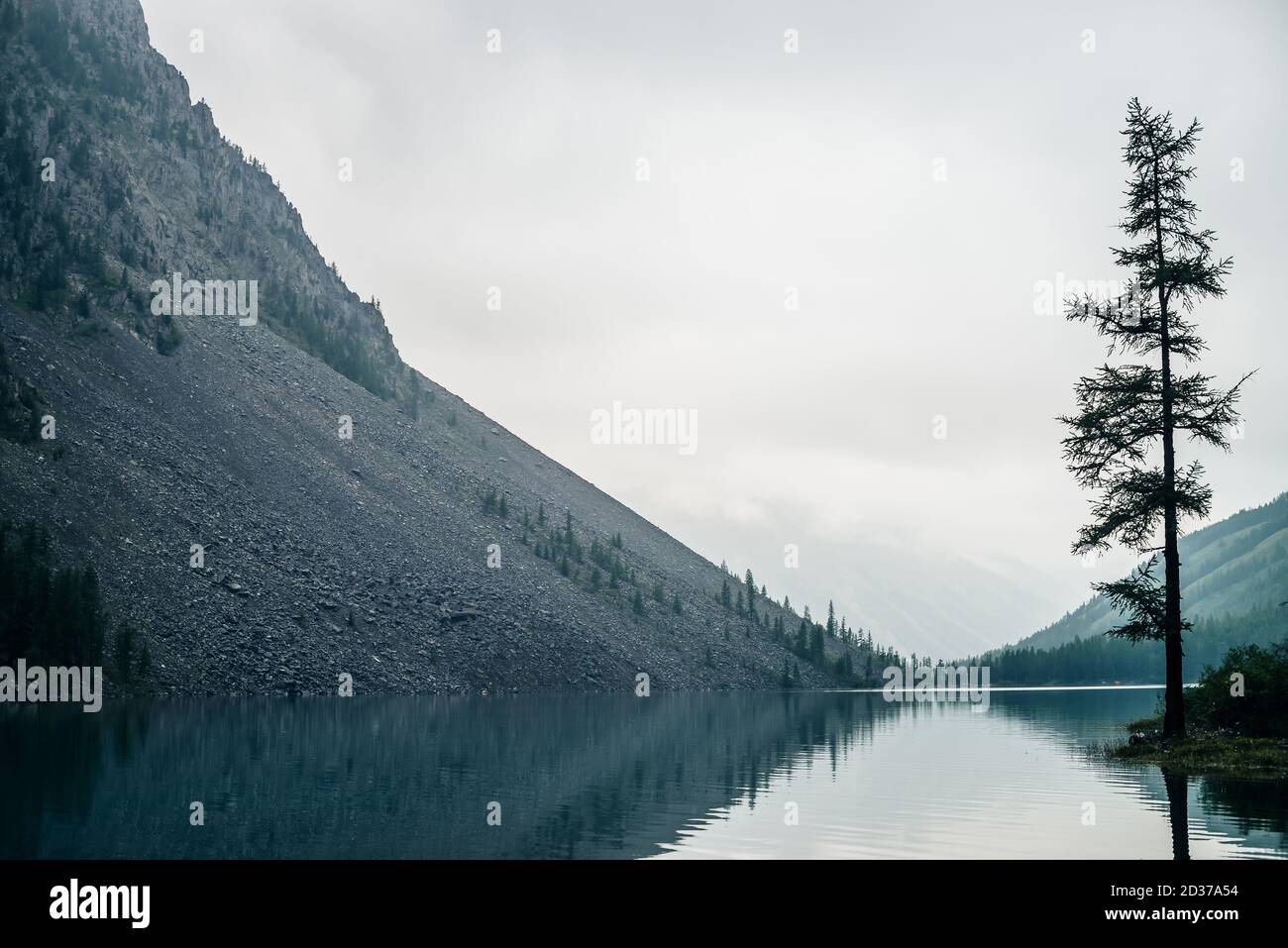 Atmospheric gloomy landscape with conifer tree on shore of mountain ...