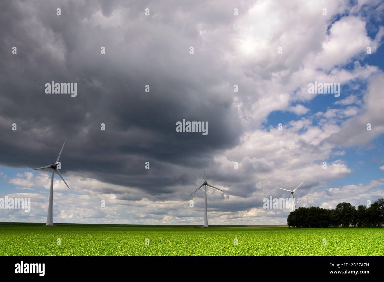 Wind energy field hi-res stock photography and images - Alamy