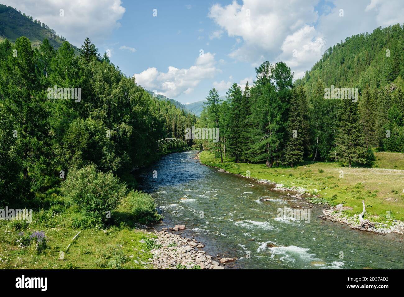 Beautiful mountain small river with clear water in forest among rich ...