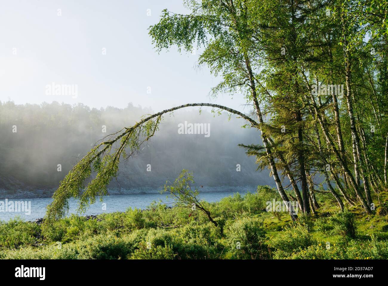 Arch shape hi-res stock photography and images - Alamy